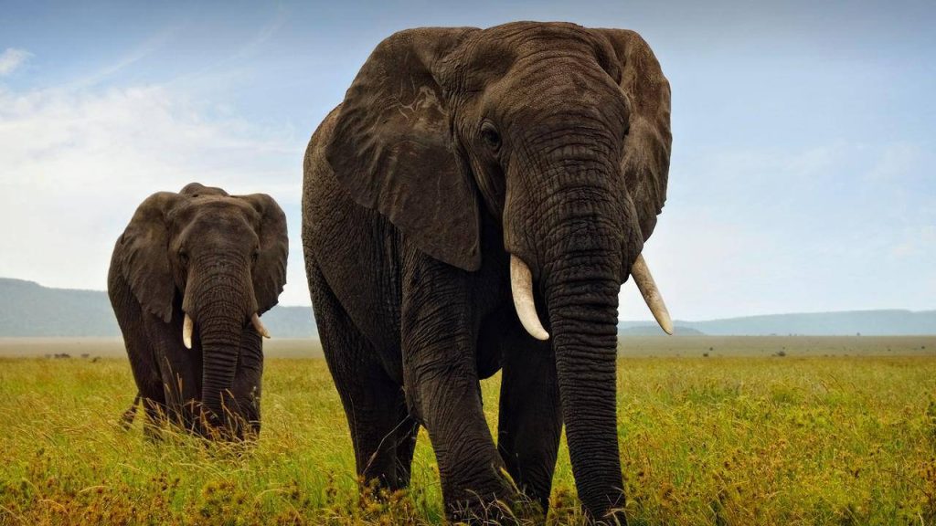 Home - Boyang Gape Tours and Travel